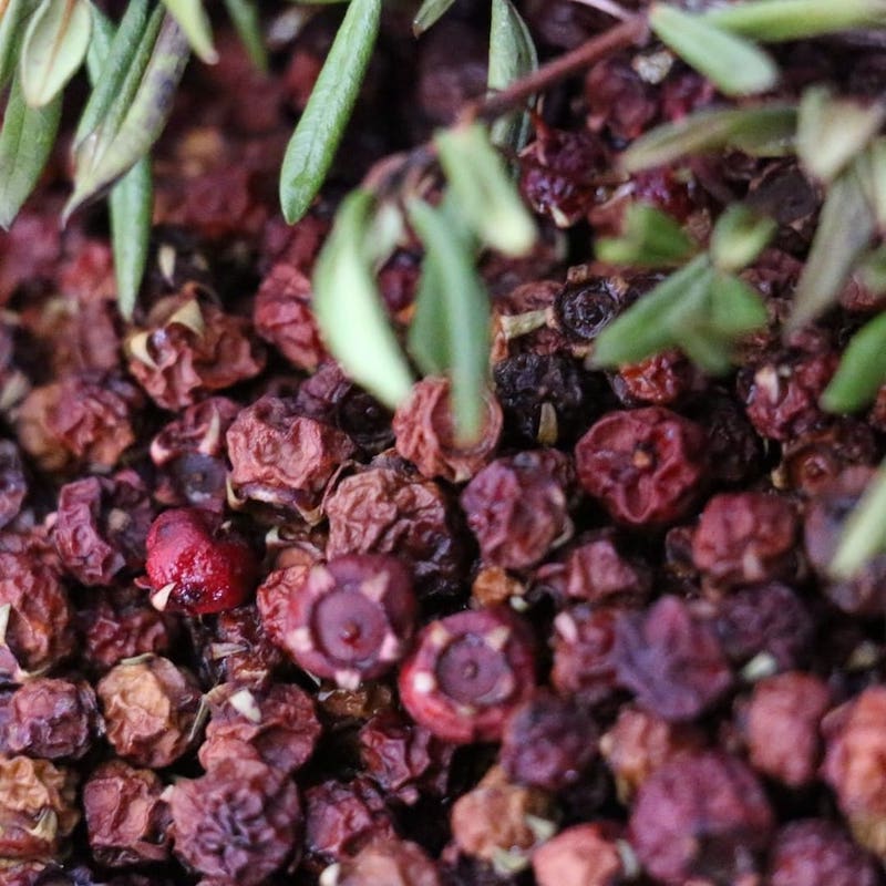 Murta deshidratada 1 kg. | Agro Gourmet Chile – Agro Gourmet Chile